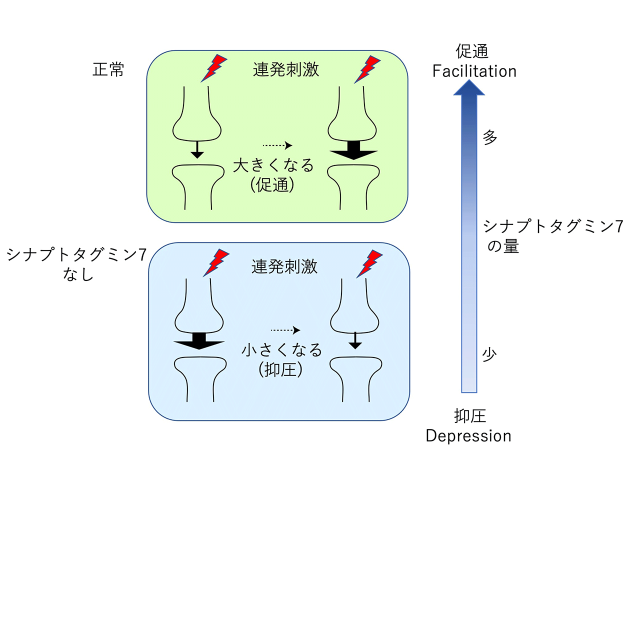 未来ICT研究所-トップページ/NICT